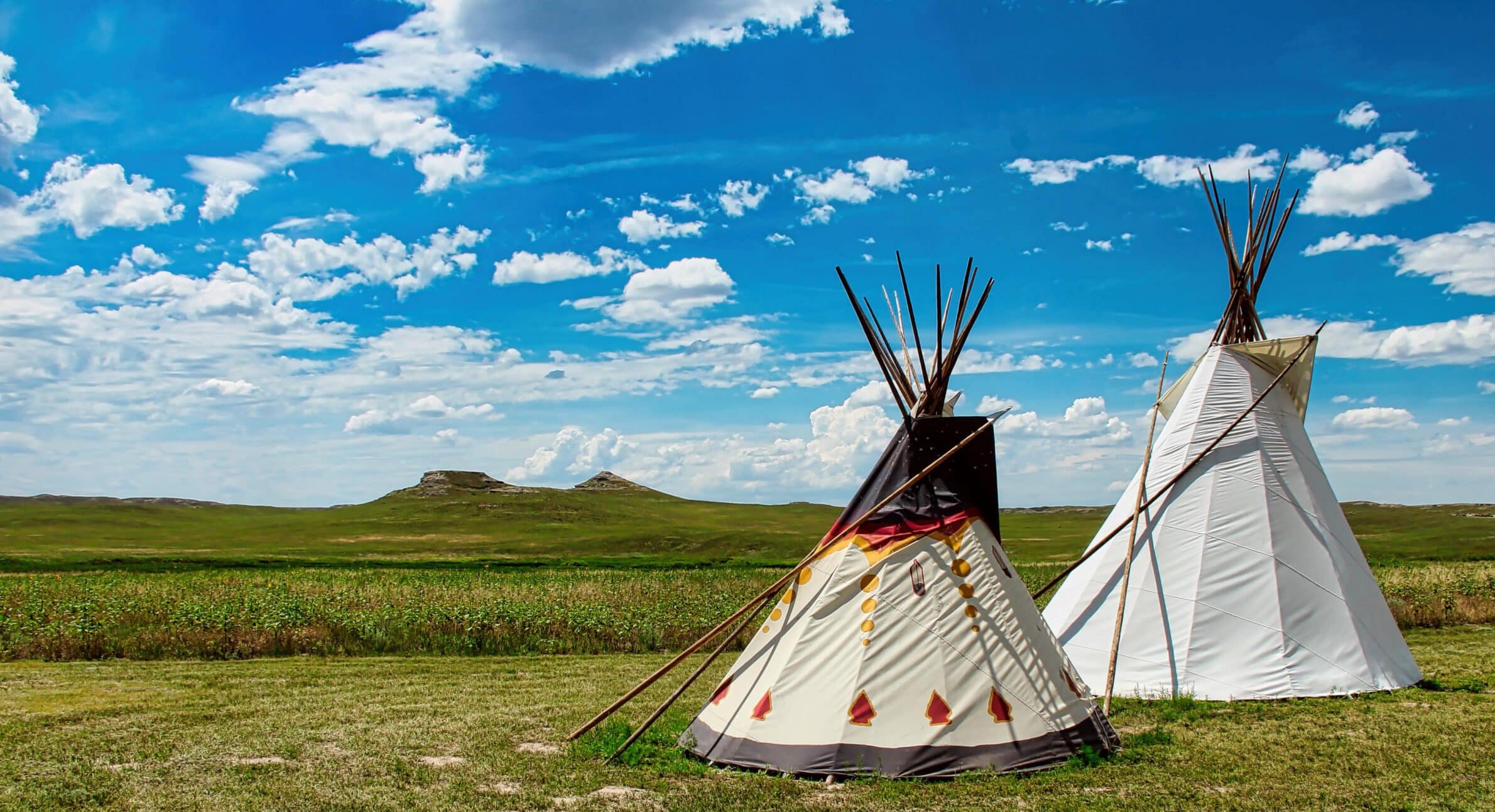 Native Clan Organization